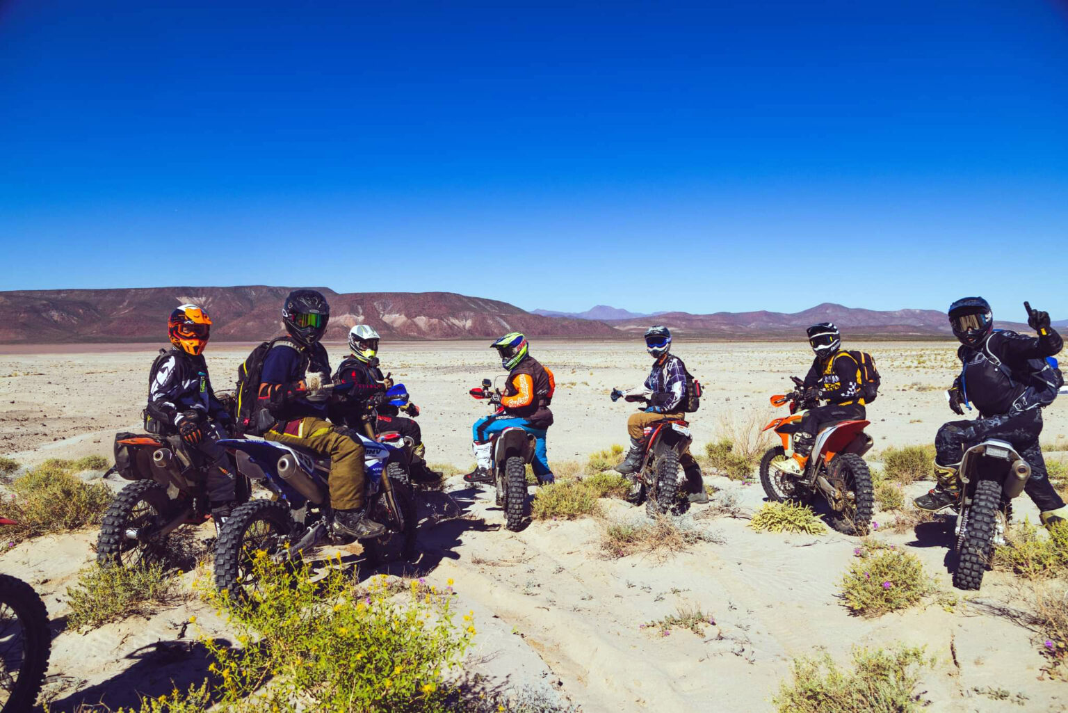 Ride Baja: From Desert to Ocean on Dirt Bikes - The Baja Oasis